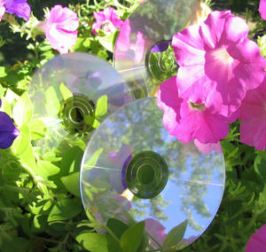 Top 10 Creative Ways to Recycle CDs - Curbly