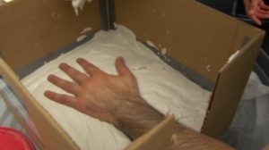 How to Make a Fake Hand - Curbly