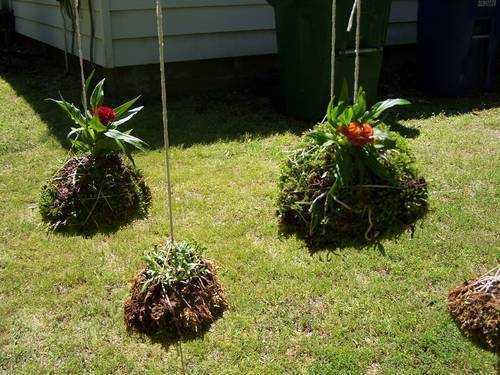 How to Make String Gardens: 7 DIY Options - Curbly