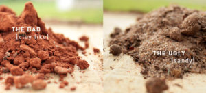 Good Soil vs. Bad Soil & How to Prep Soil for Your Garden - Curbly