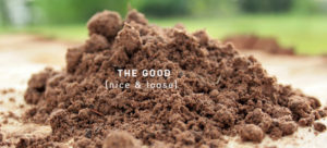 Good Soil vs. Bad Soil & How to Prep Soil for Your Garden - Curbly