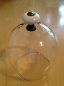 How to: Make a DIY Mini Bell Jar - Curbly