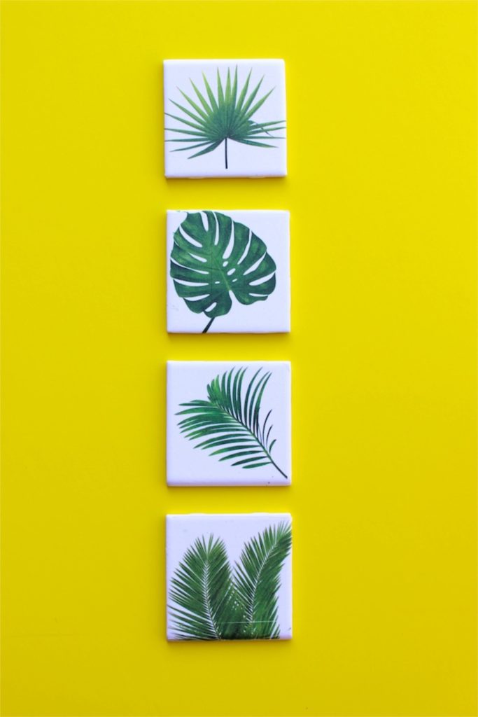 How To: These DIY Tropical Leaf Coasters Are Simple and Stunning - Curbly