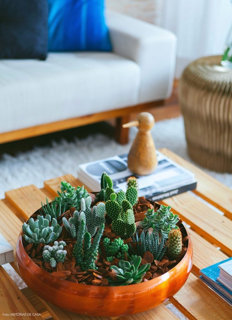 Can't Fail Tips for Decorating with Cactus in the Home - Curbly