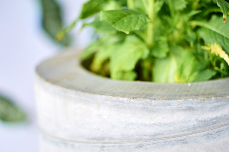 How To Create Your Own DIY Round Planter Made With Cement