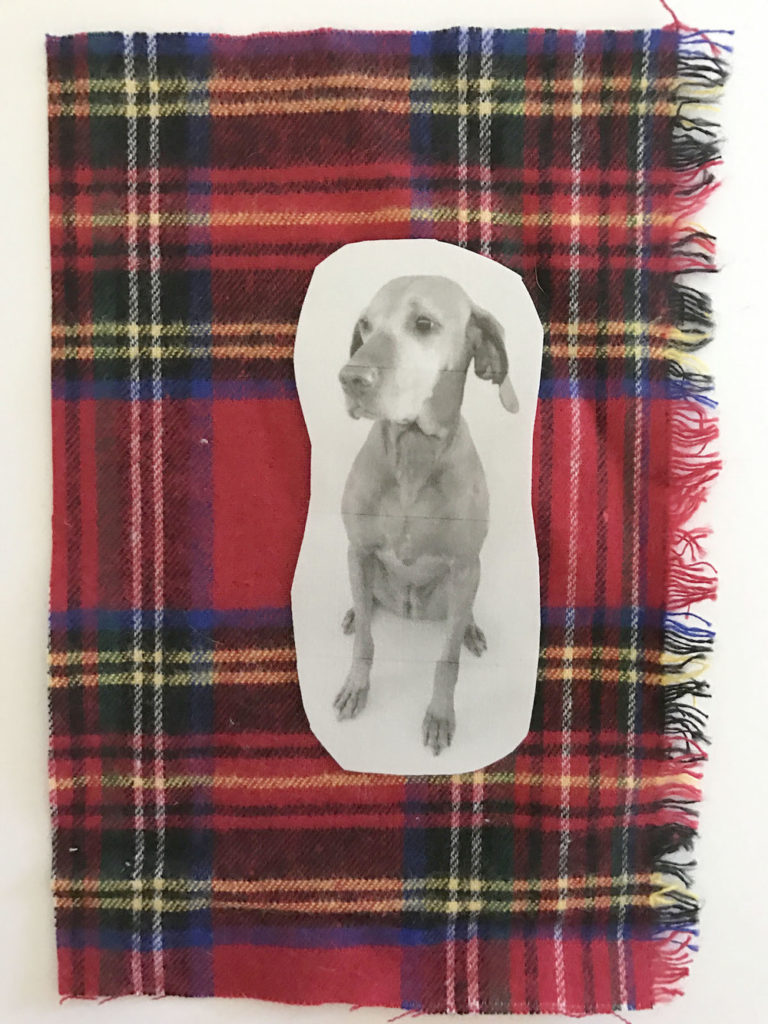 How to: Easy and Adorable DIY Pet Portrait Christmas Ornament - Curbly