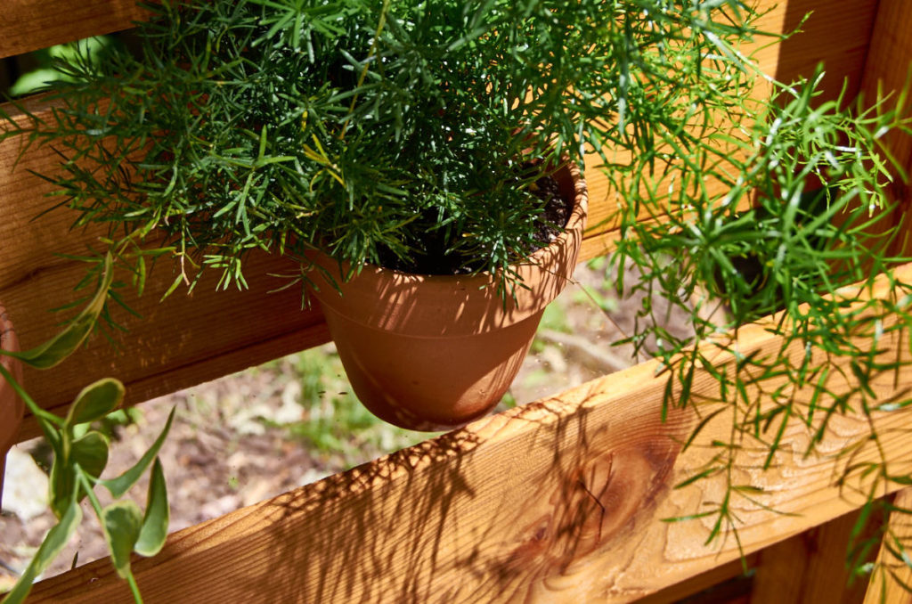 How to: Make a Modern, Floating Outdoor Plant Wall - Curbly