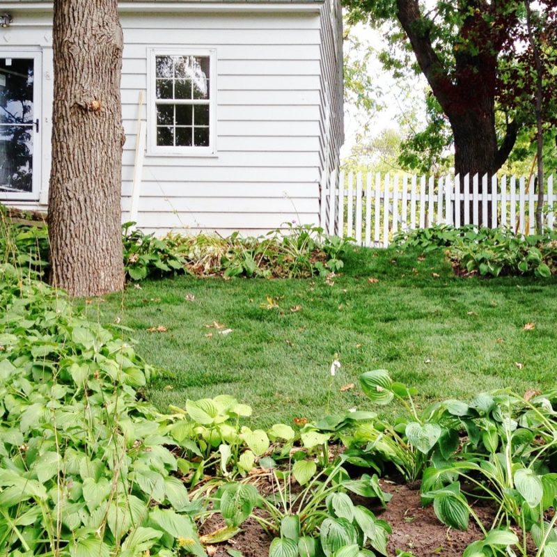 The Curbly House - Curbly