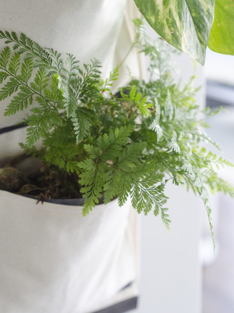 Hanging Fabric Planter DIY | It's Like a Magazine Rack for your Plants