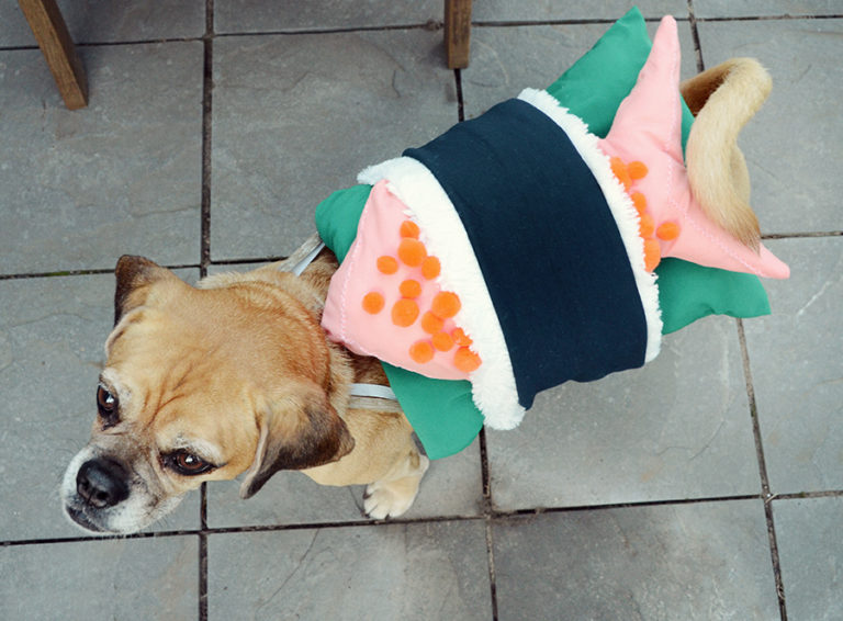 DIY Sushi Halloween Costume For Your Dog - Curbly