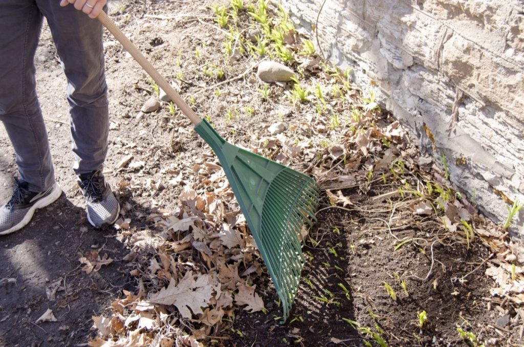 Spring Yard Maintenance | How to Prep your Yard for Glorious Summer