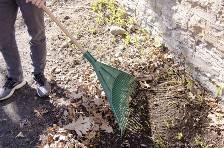 Spring Yard Maintenance | How to Prep your Yard for Glorious Summer