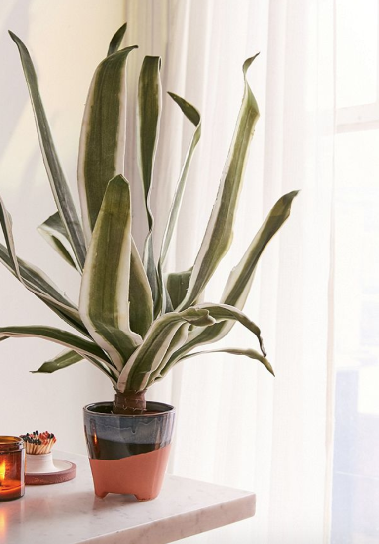 25 Fake Plants with Real Potential (Put These in Your House ...
