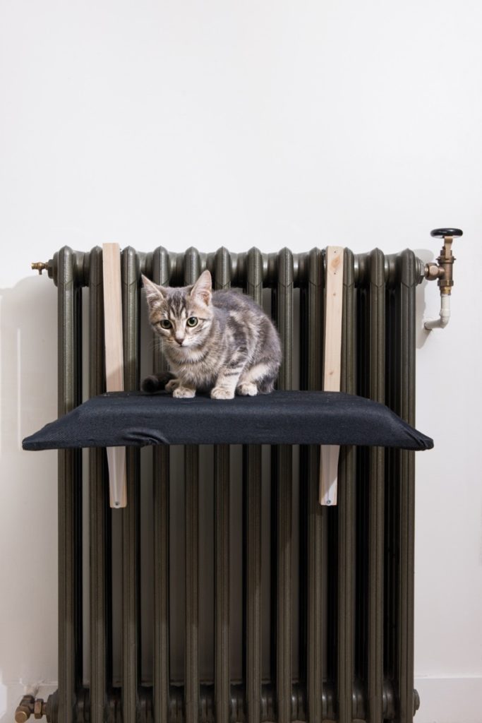 DIY Radiator Cat Bed | How to Create a Comfy Perch Kitty Will Love