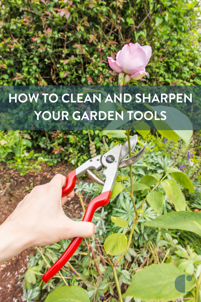 How to Clean and Sharpen Garden Tools | Restore Your Tools