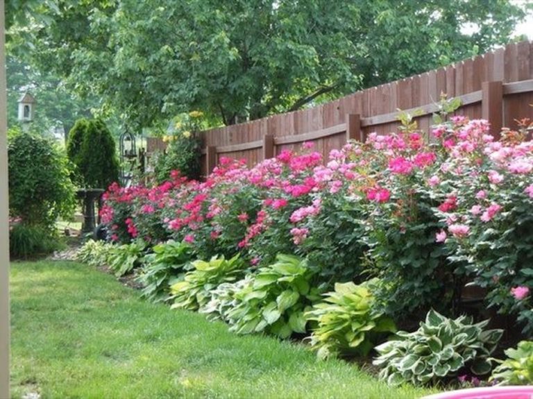 59 DIY Landscaping Ideas to Improve Your Outdoor Space