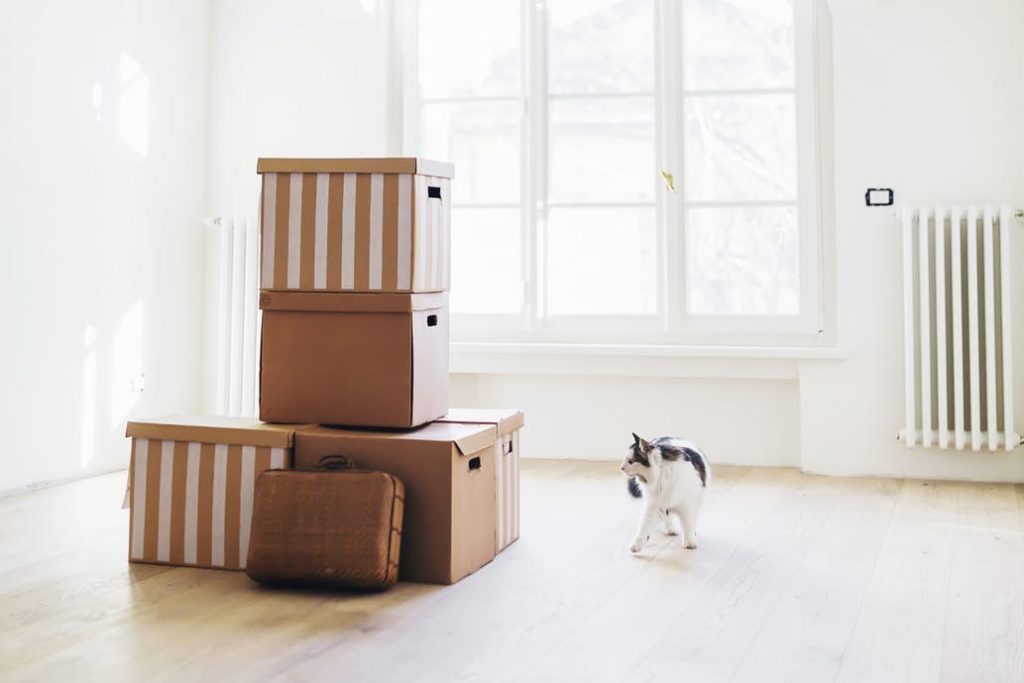 Moving Tips: 12 Ideas for a Smooth Transition with No Headaches!