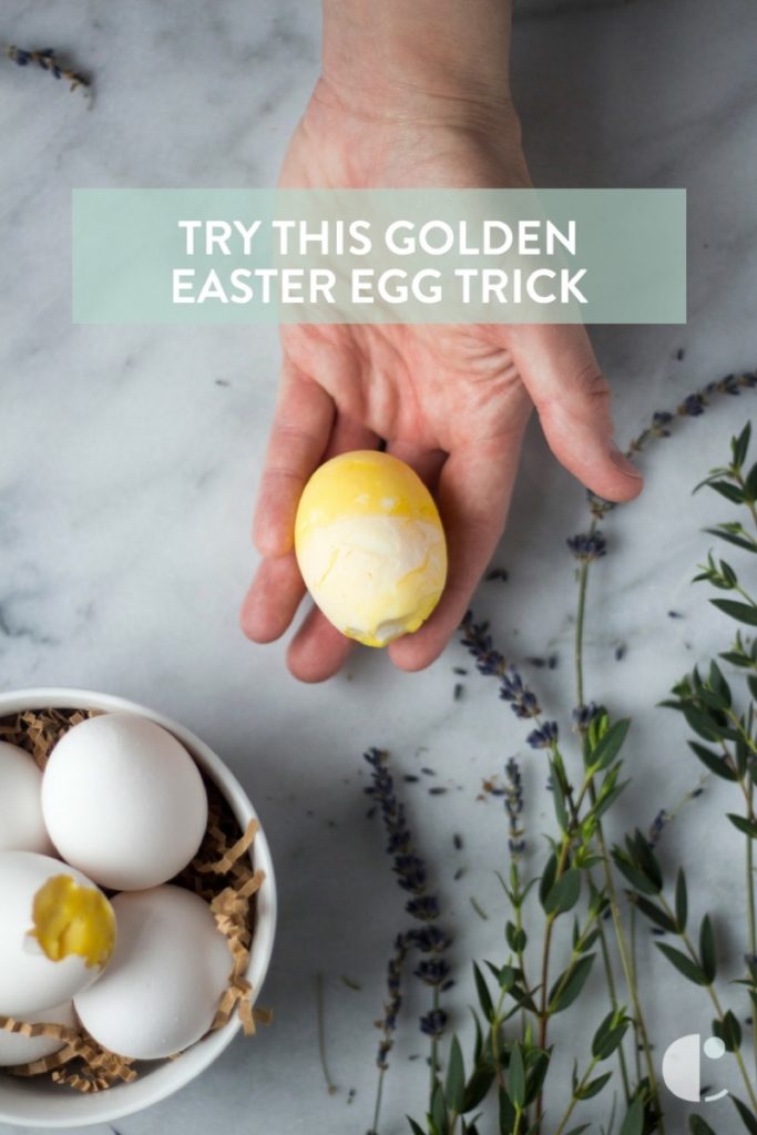 Golden Eggs Trick That Scrambles your Eggs Before You Cook Them!