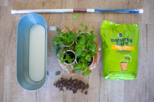 Renter-Friendly DIY! Make a Hanging Herb Garden