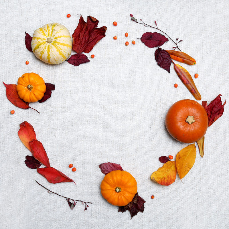 10 Fall Chores You Shouldn't Forget To Do