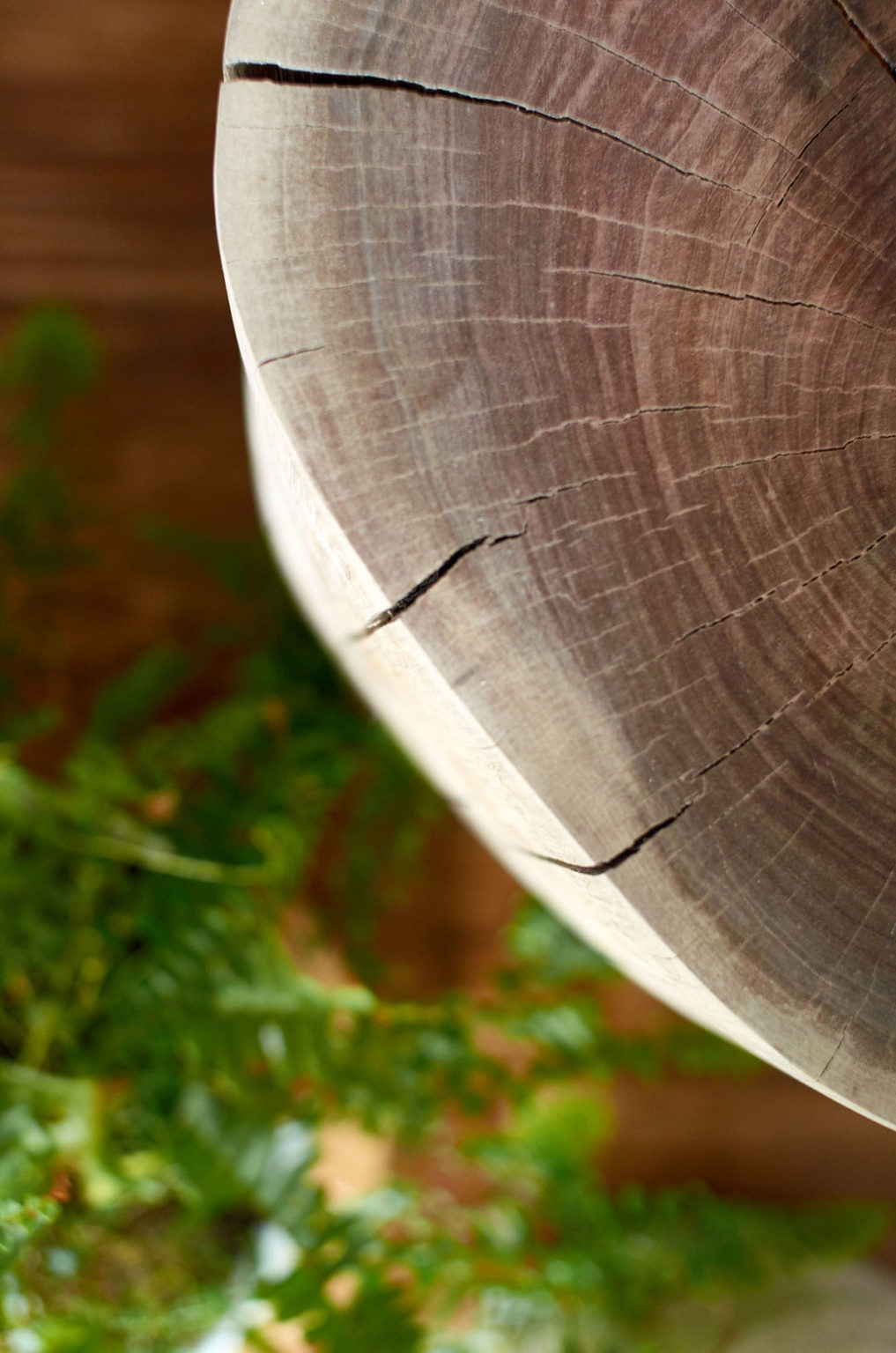 A Gorgeous Walnut Tree Stump Side Table - The Easy Way - Curbly