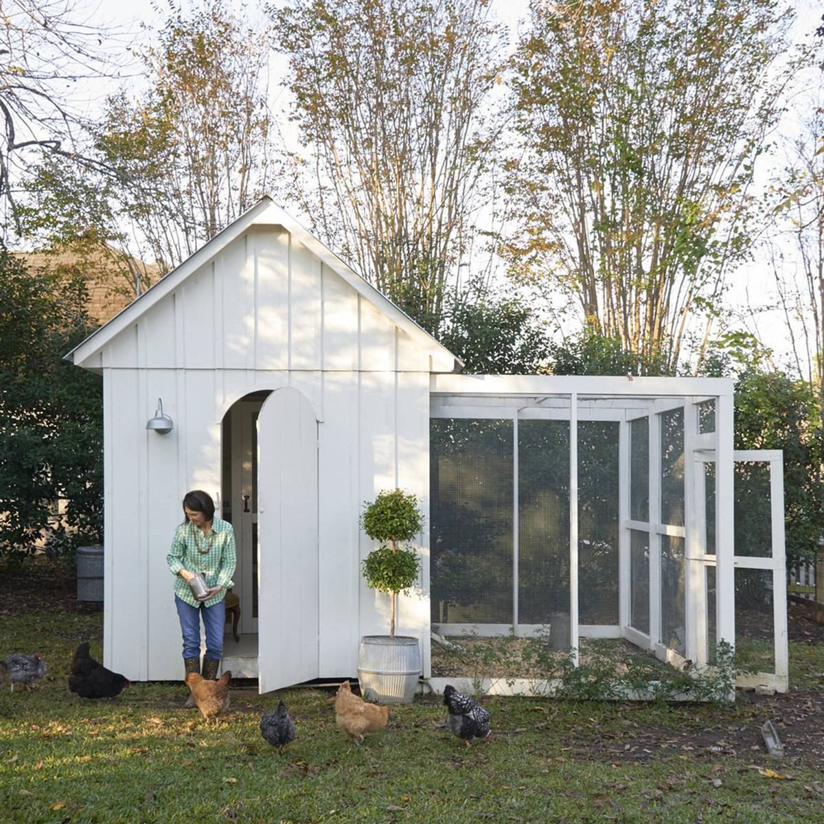 15+ Inspiring Chicken Coop Plans for Your Backyard Flock - Curbly