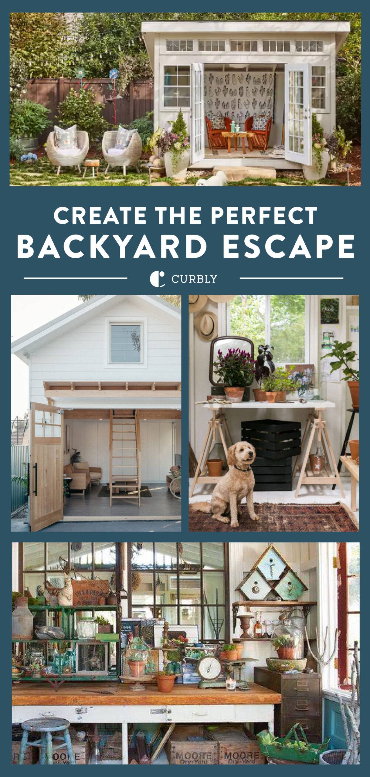 10+ She Shed Ideas to Create Your Perfect Backyard Escape - Curbly