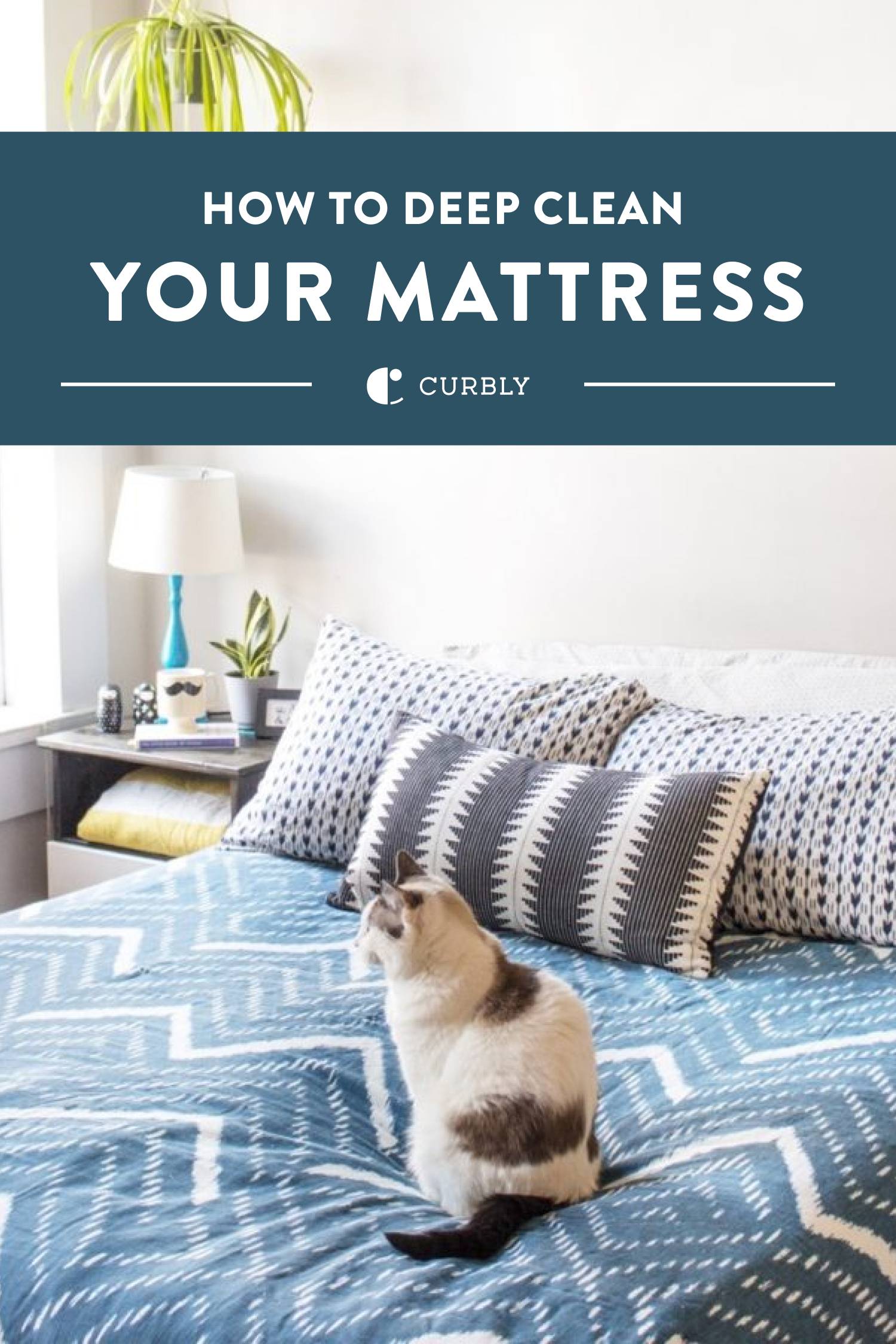 Cleaning Your Mattress | Maintaining a Fresh and Healthy Sleeping ...