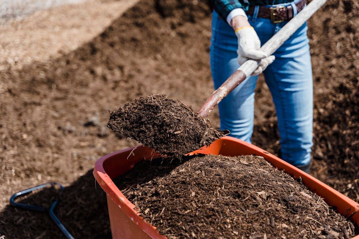 Composting Made Easy: A Beginner's Guide - Curbly