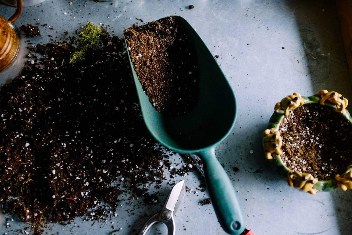 Good Soil vs. Bad Soil & How to Prep Soil for Your Garden - Curbly