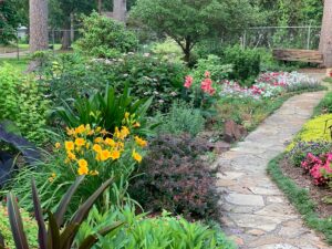 Easy Breezy Landscaping with Low-Maintenance Outdoor Plants - Curbly