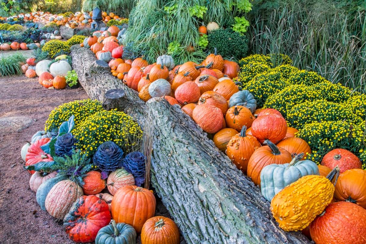 10 Ways To Cozy Up Your Patio For Fall - Curbly